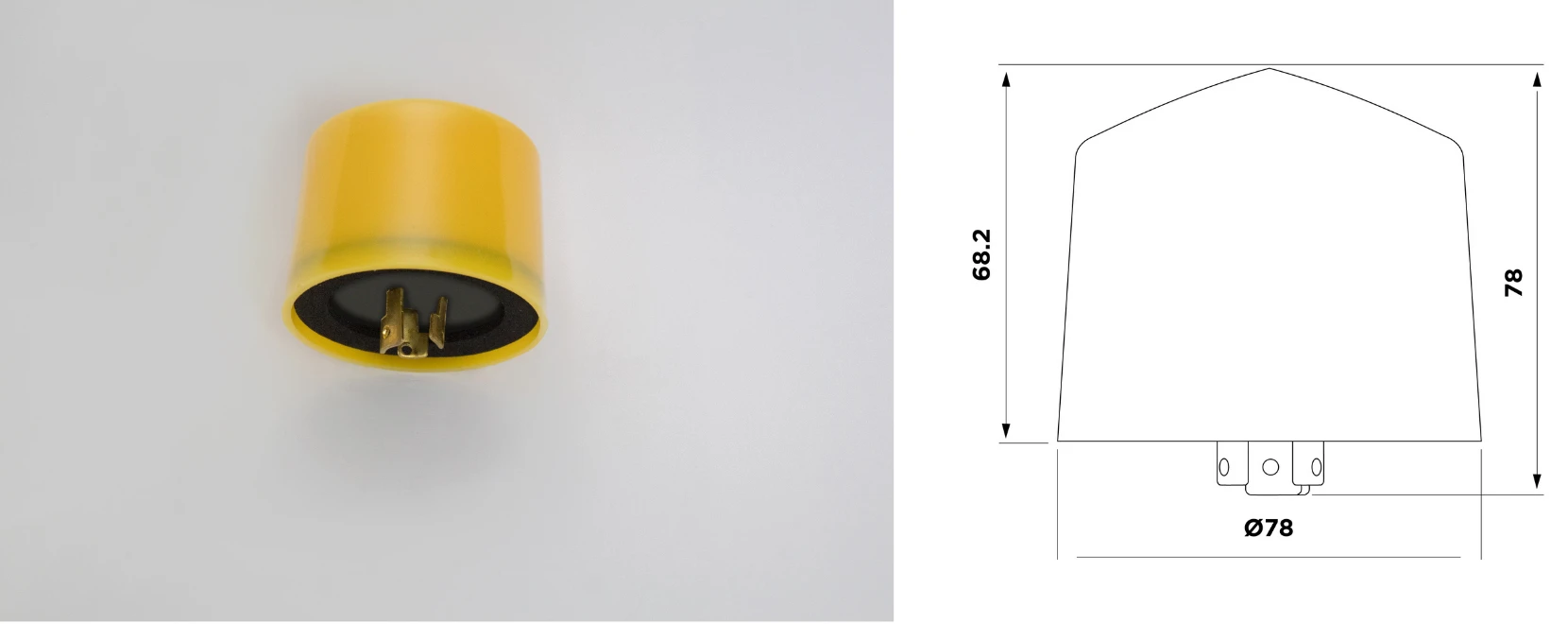 Accessories | SpectrumPecus